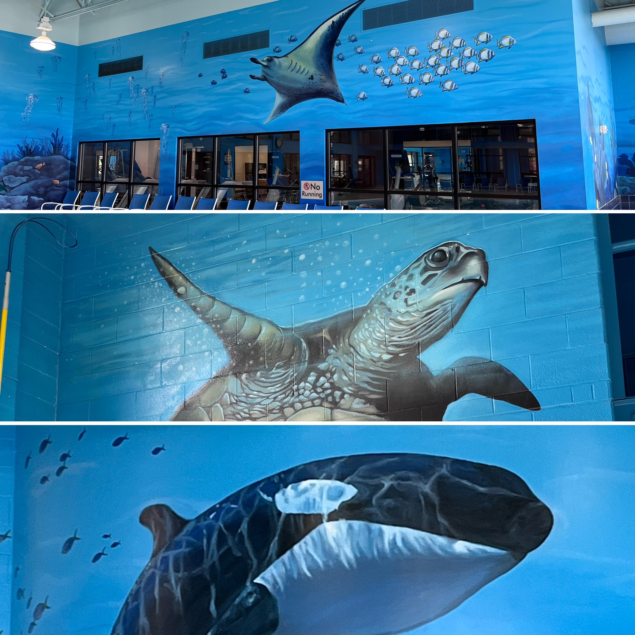 Swimming pool murals - Craig Brownlie and Koj Books